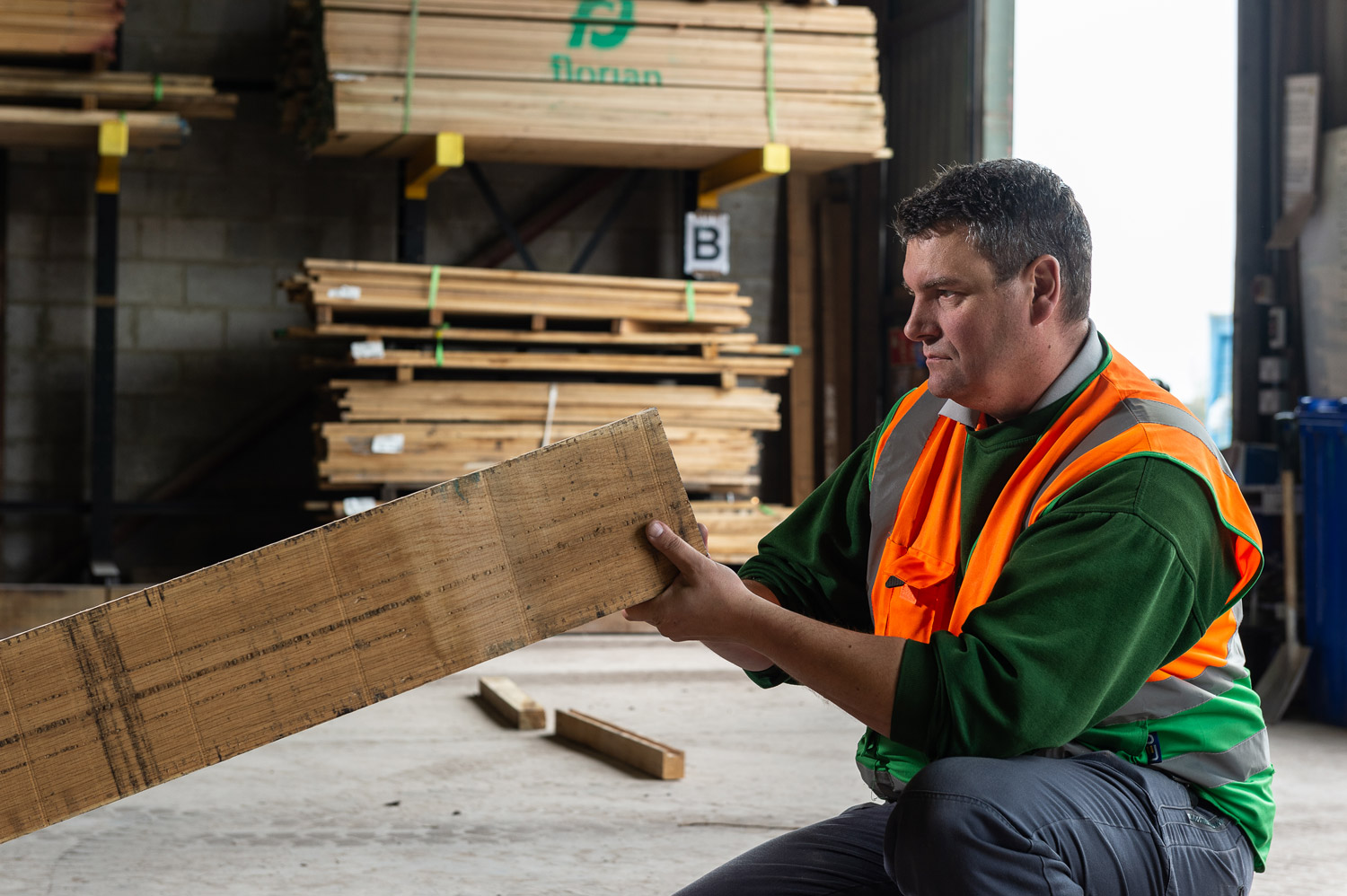 Understanding Distortion In Timber