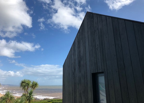 Charred Yakisugi technique